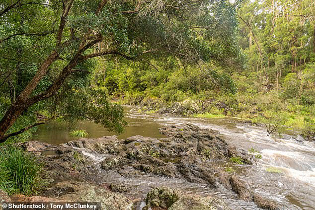 Tragedy after girl falls off waterfall and boy dives in to save her