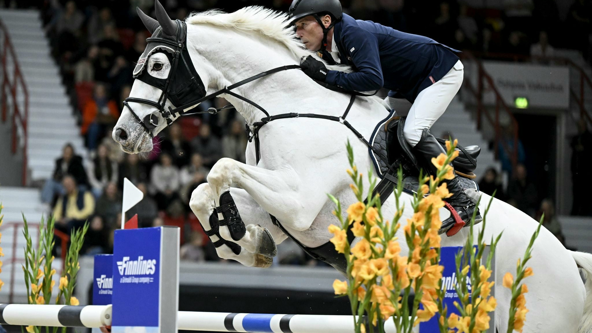 Partner Pferd 2025: Zeitplan, TV-Übertragung und Stream für das ...