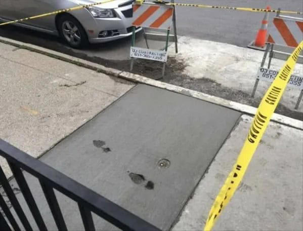 50 Funny And/Or Random Pictures To Spice Up Your Afternoon Scroll ...