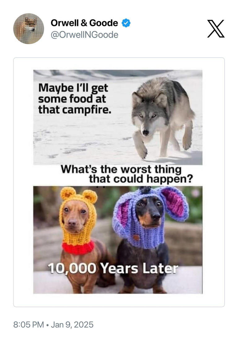 34 Random And Funny Memes From This Popular "Meme Historian"