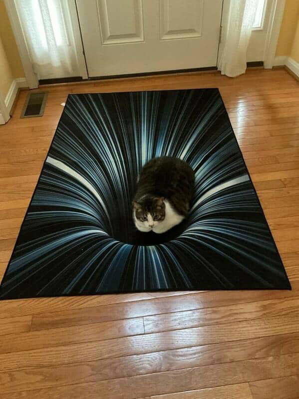 50 Funny And/Or Random Pictures To Spice Up Your Afternoon Scroll ...