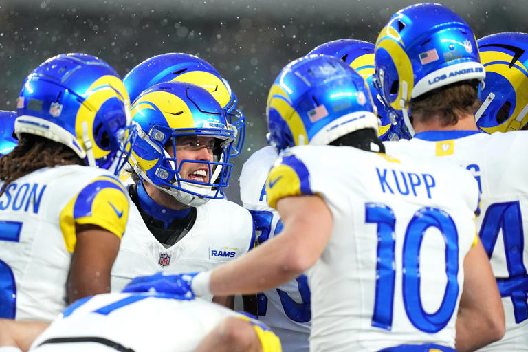 19 dazzling photos of a snowy Eagles-Rams playoff game