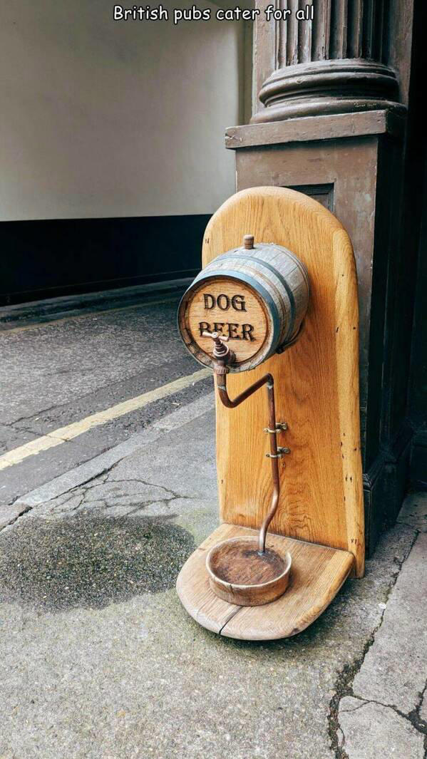 50 Funny And/Or Random Pictures To Spice Up Your Afternoon Scroll ...