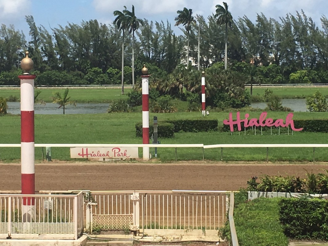 Study analyzes options to secure horse racing’s future in Florida