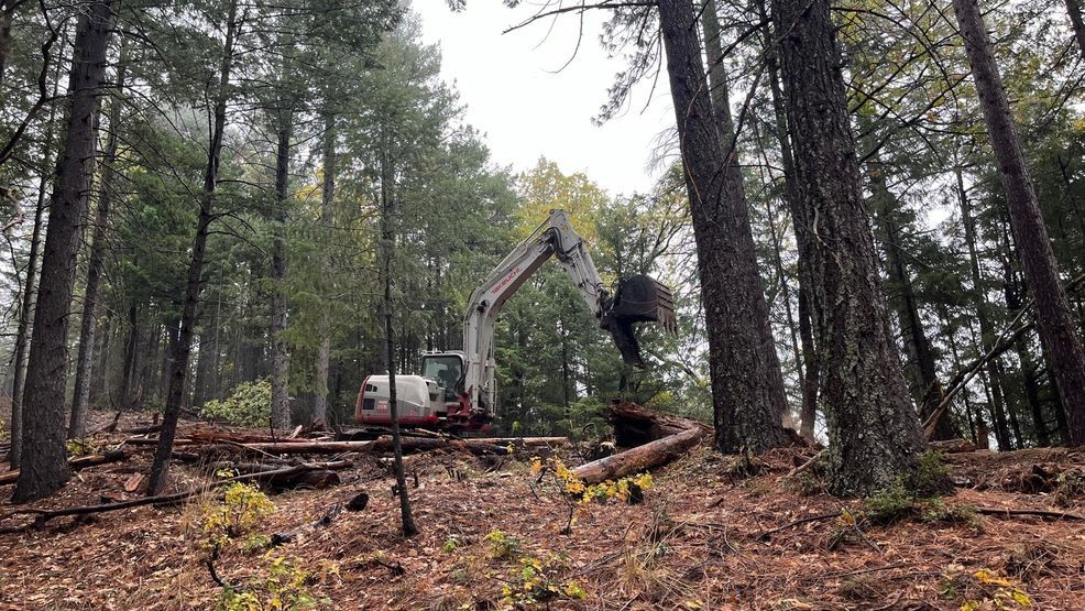 Federal program aids Siskiyou County forest restoration amid drought