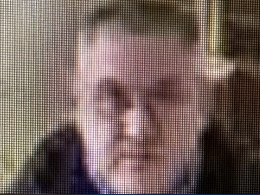 CRIME SCENE: One of 2 pulled from submerged vehicle near Ashbridges Bay ...