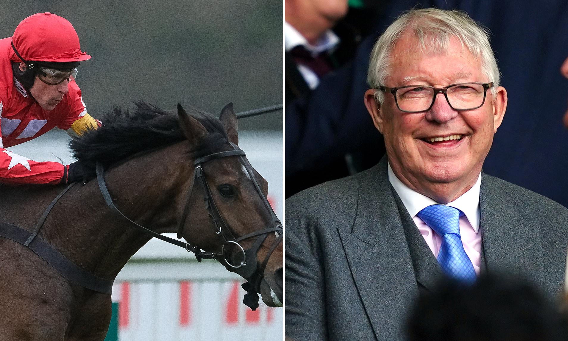 Sir Alex Ferguson's favourite Protektorat claims a mighty win on the ...