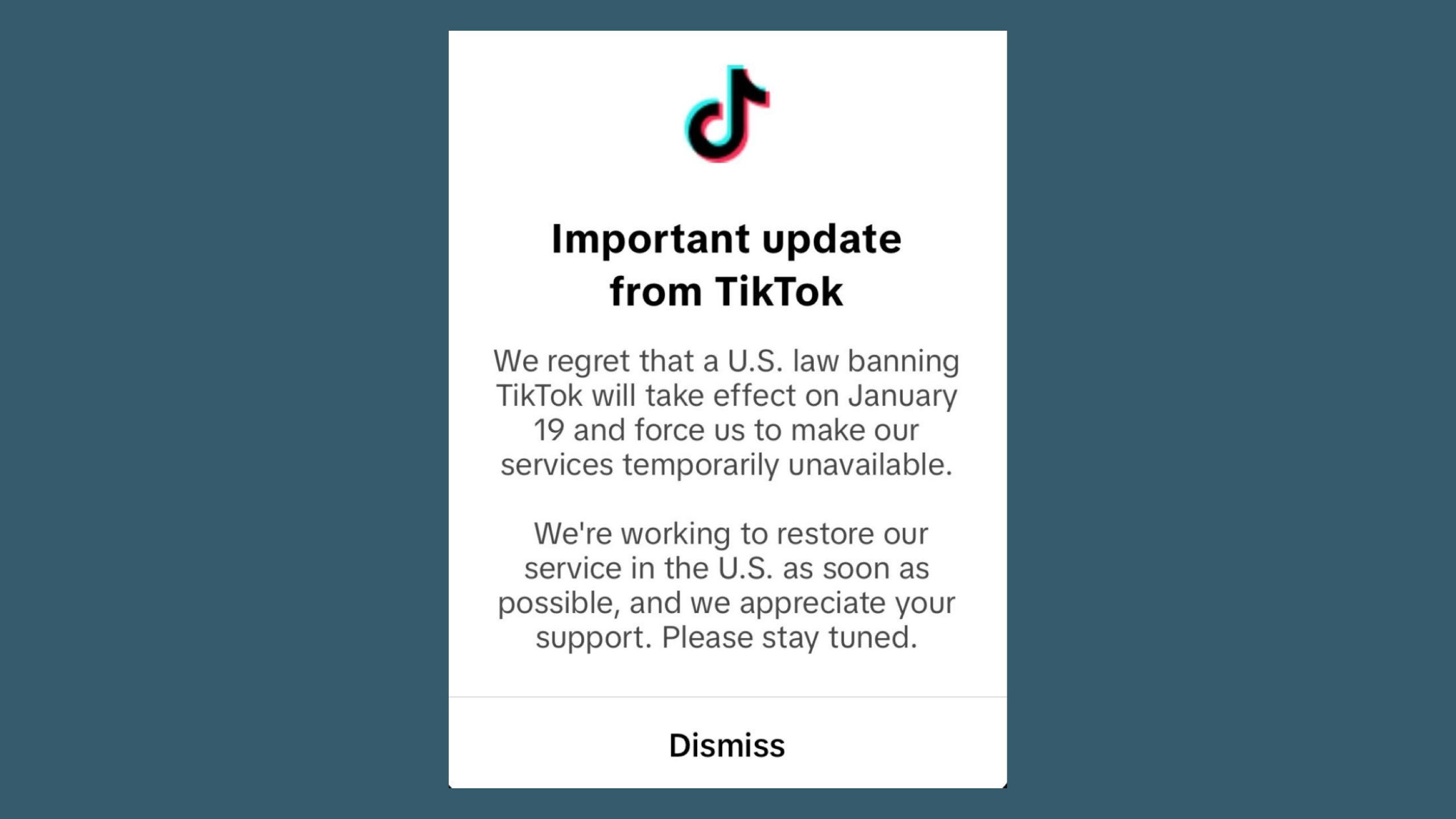 Well, it happened - TikTok goes offline in the US hours before ban