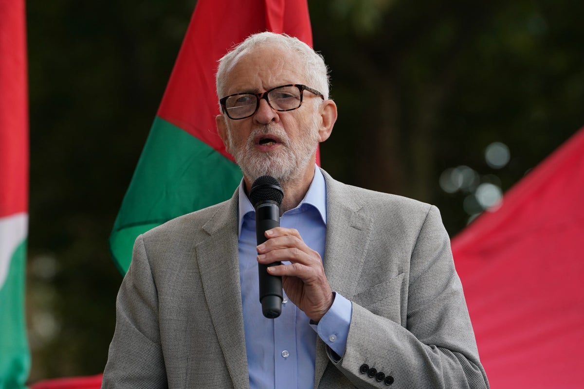 Corbyn and McDonnell ‘agree to police interview after Palestine march’