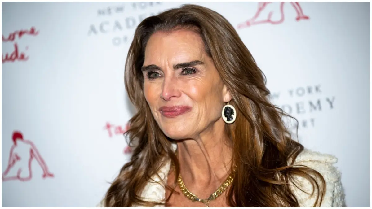 'I’ve Earned Everything That I Have on My Face': Brooke Shields ...