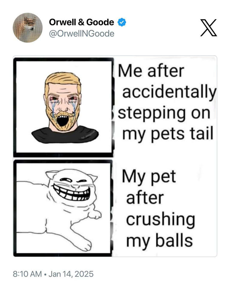 34 Random And Funny Memes From This Popular "Meme Historian"