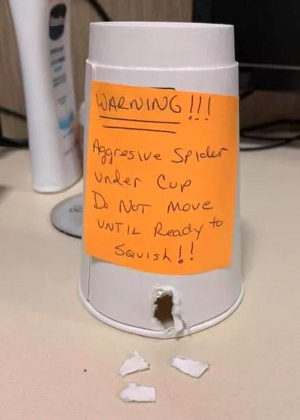 50 Funny And/Or Random Pictures To Spice Up Your Afternoon Scroll ...