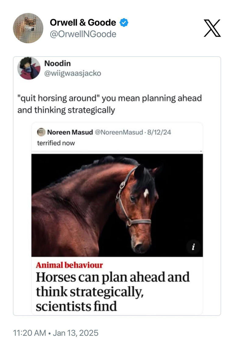 34 Random And Funny Memes From This Popular "Meme Historian"