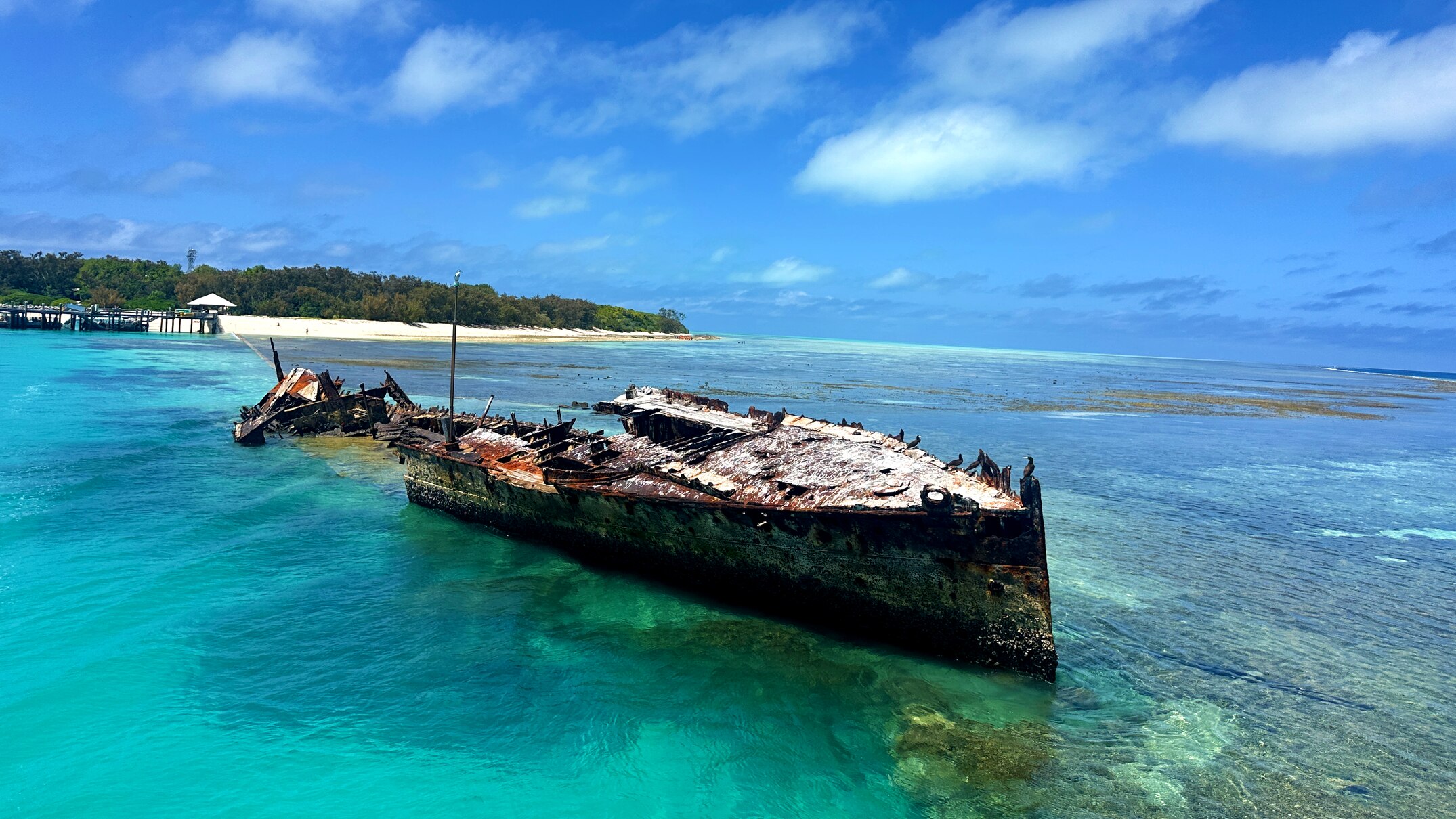 HMAS Protector, bought for just 10 pounds, now a marine paradise off ...