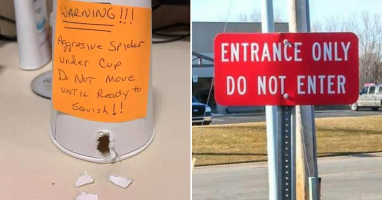 50 Funny And/Or Random Pictures To Spice Up Your Afternoon Scroll ...