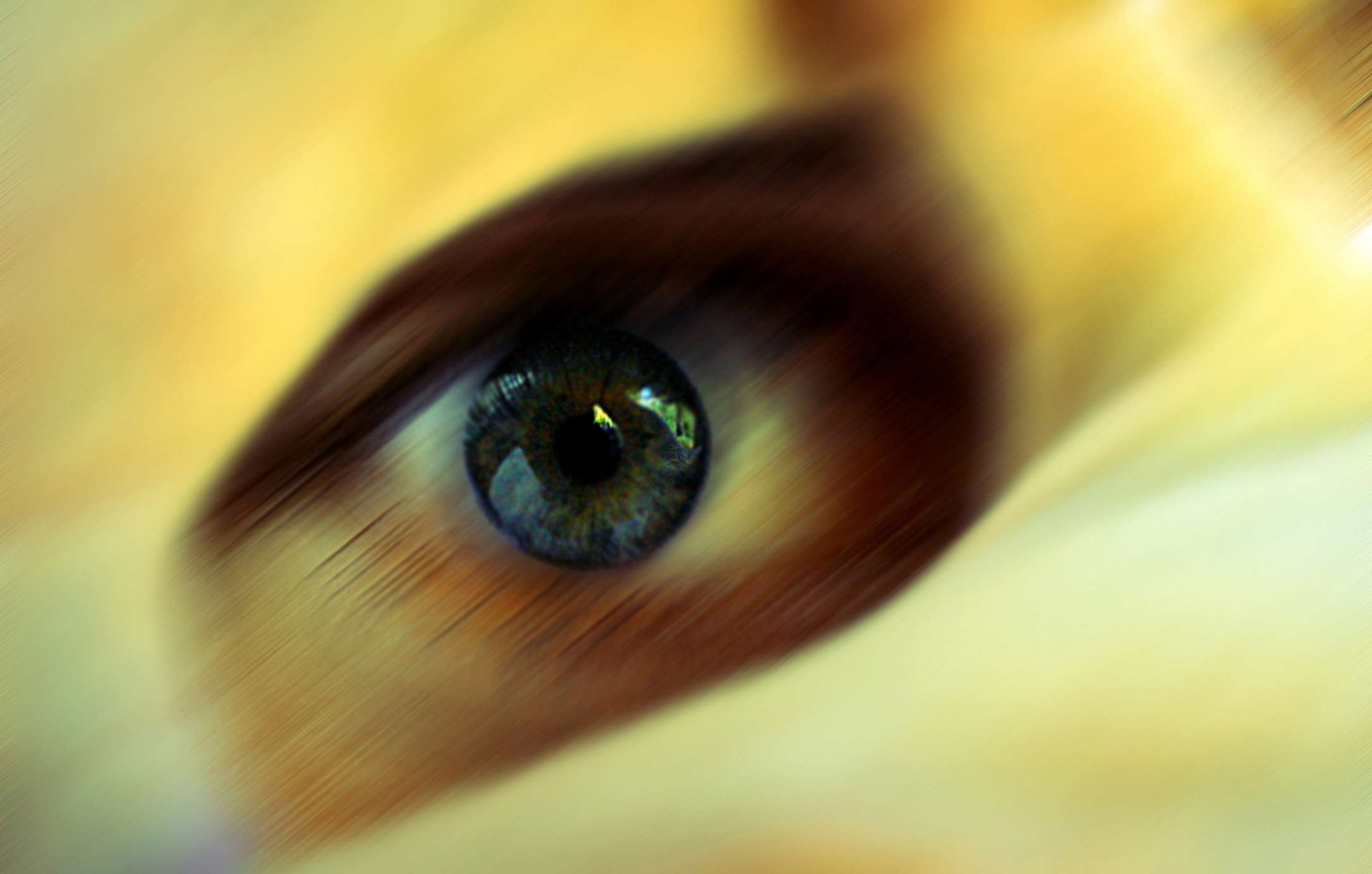 12 Causes of Blurred Vision in One Eye