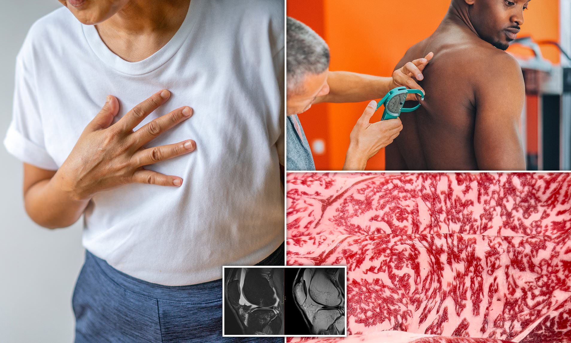 Hidden fat in muscles leads to a higher risk of dying