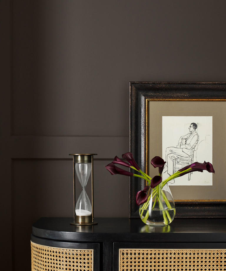 Sherwin-Williams' Sealskin is a trending dark brown paint – a sleek and ...
