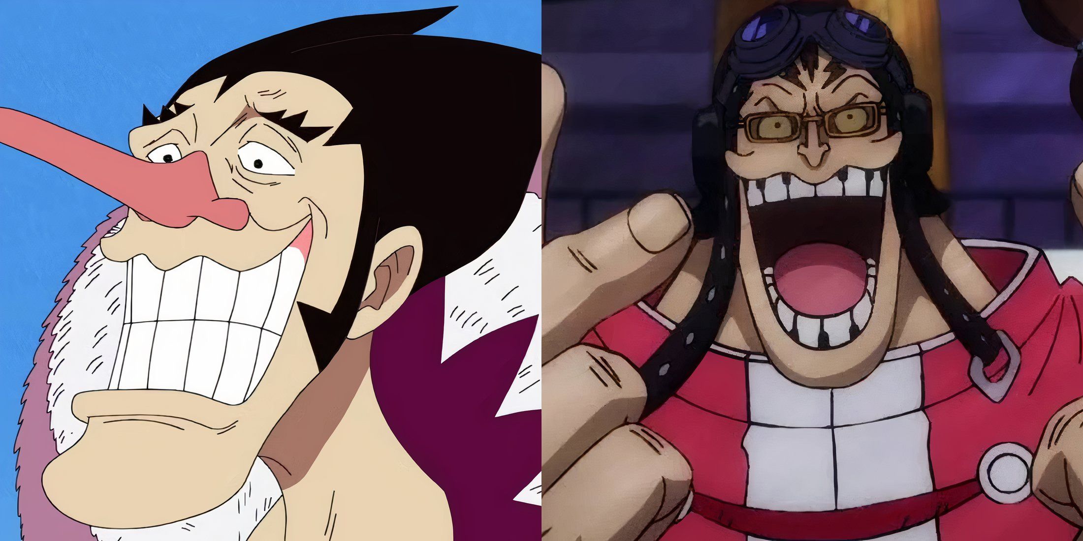 One Piece: Which Hateable Characters Do Fans Love?