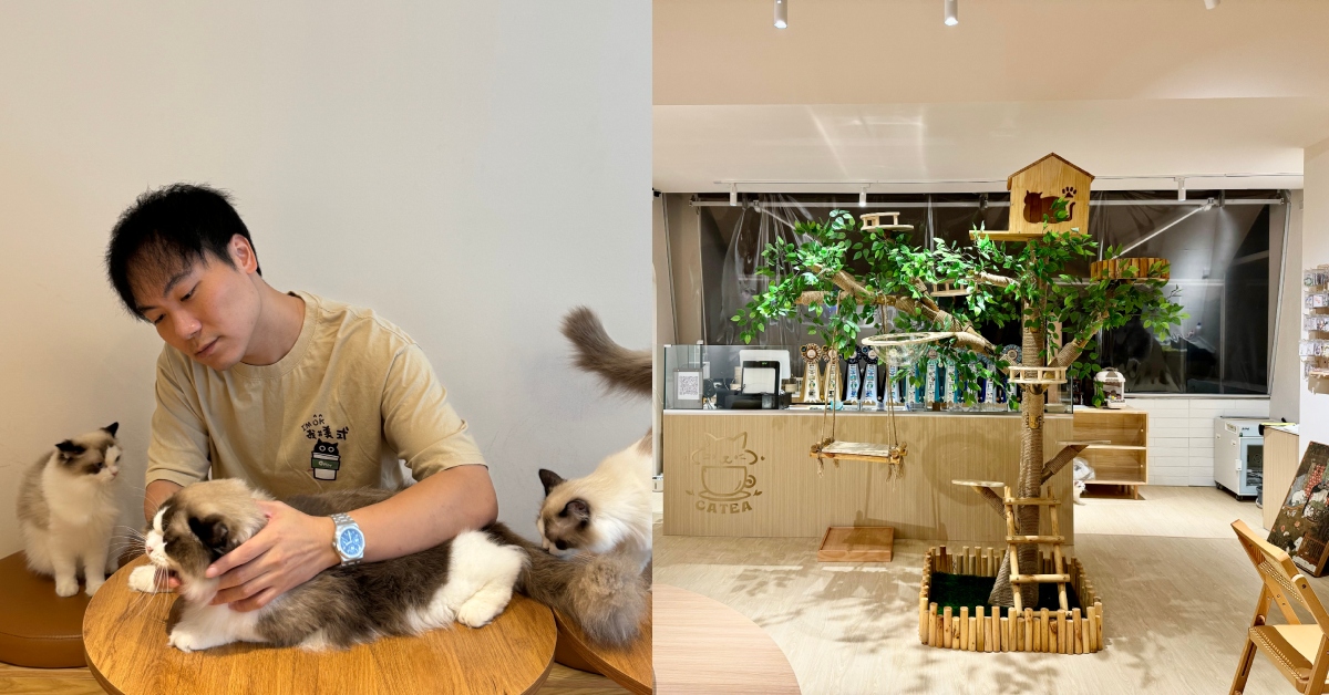 This Singaporean PR combined his love for Ragdolls and Chinese tea into ...