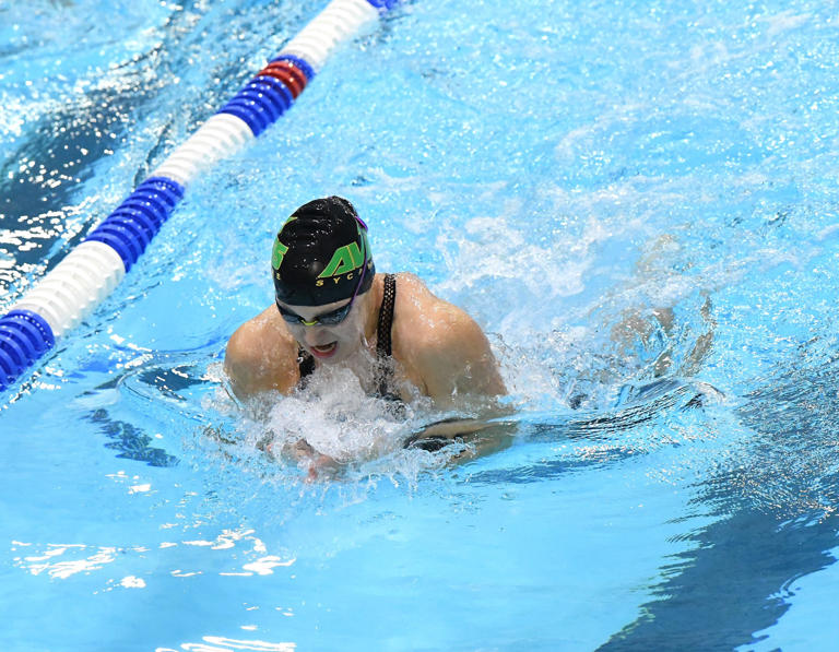 Live updates | After 13 state swimming titles Friday, Ohio DI, NKY boys ...