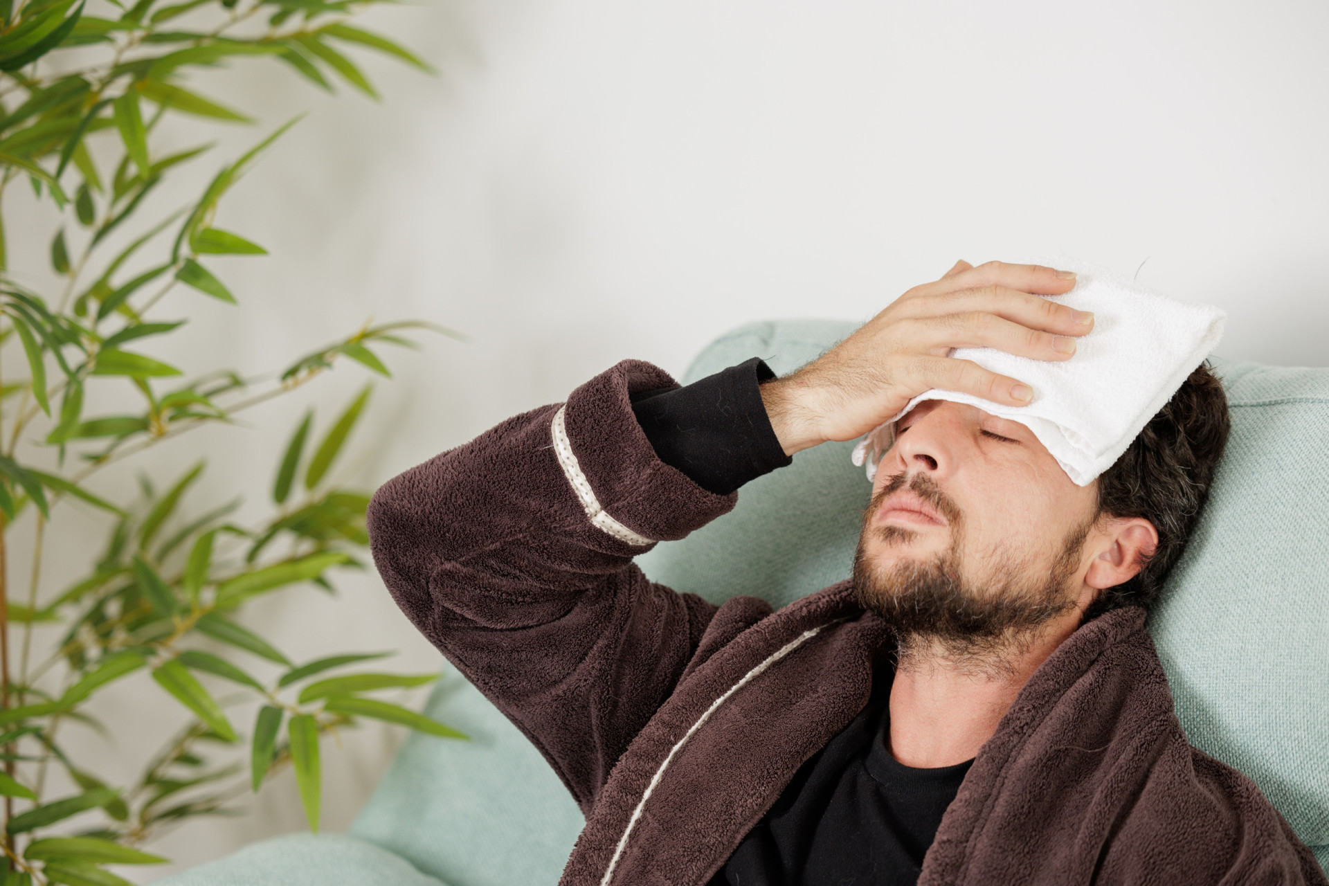 How fever helps fight disease