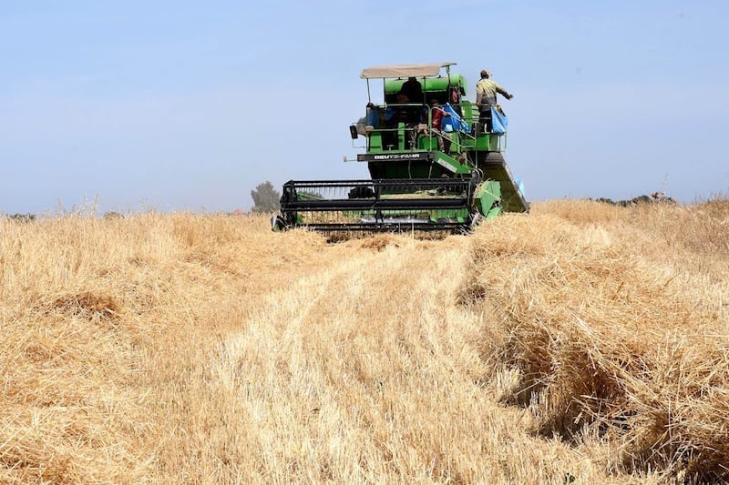 Morocco and US deepen agricultural cooperation during high-level ...