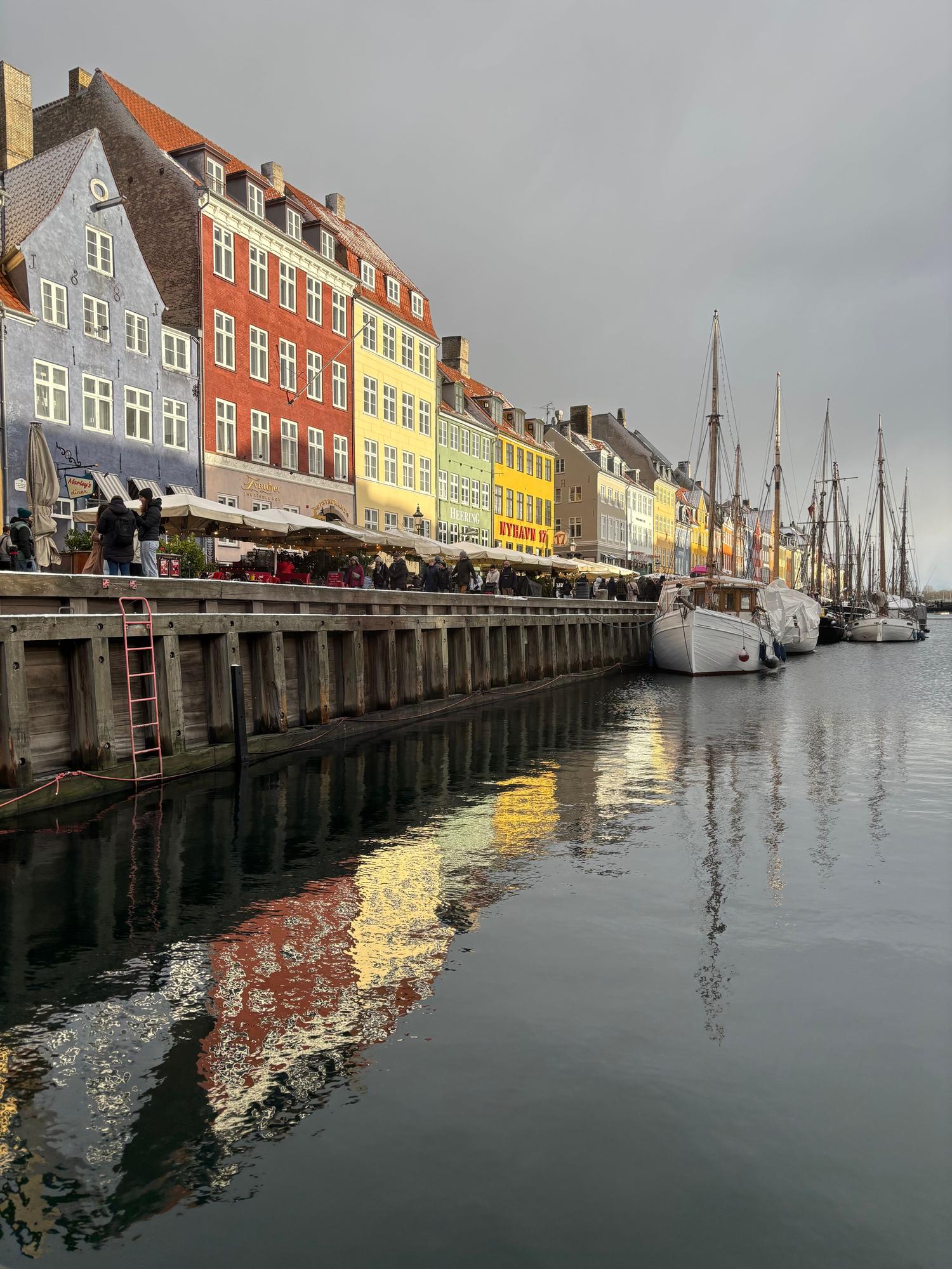 Reasons to be Cheerful by Vicky Edwards: Expanded horizons