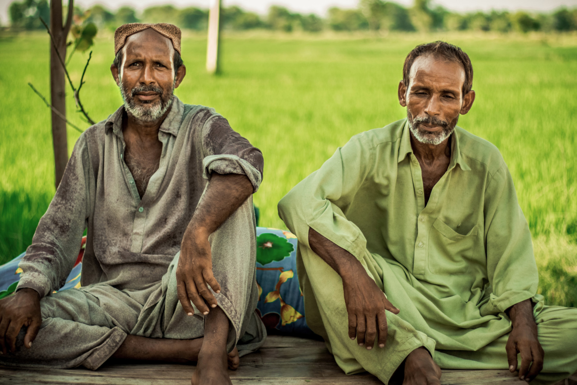 Which countries have the most bald men?