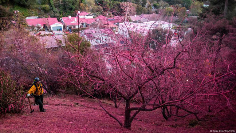 Fire in L.A.: How does the pink fire retardant work?