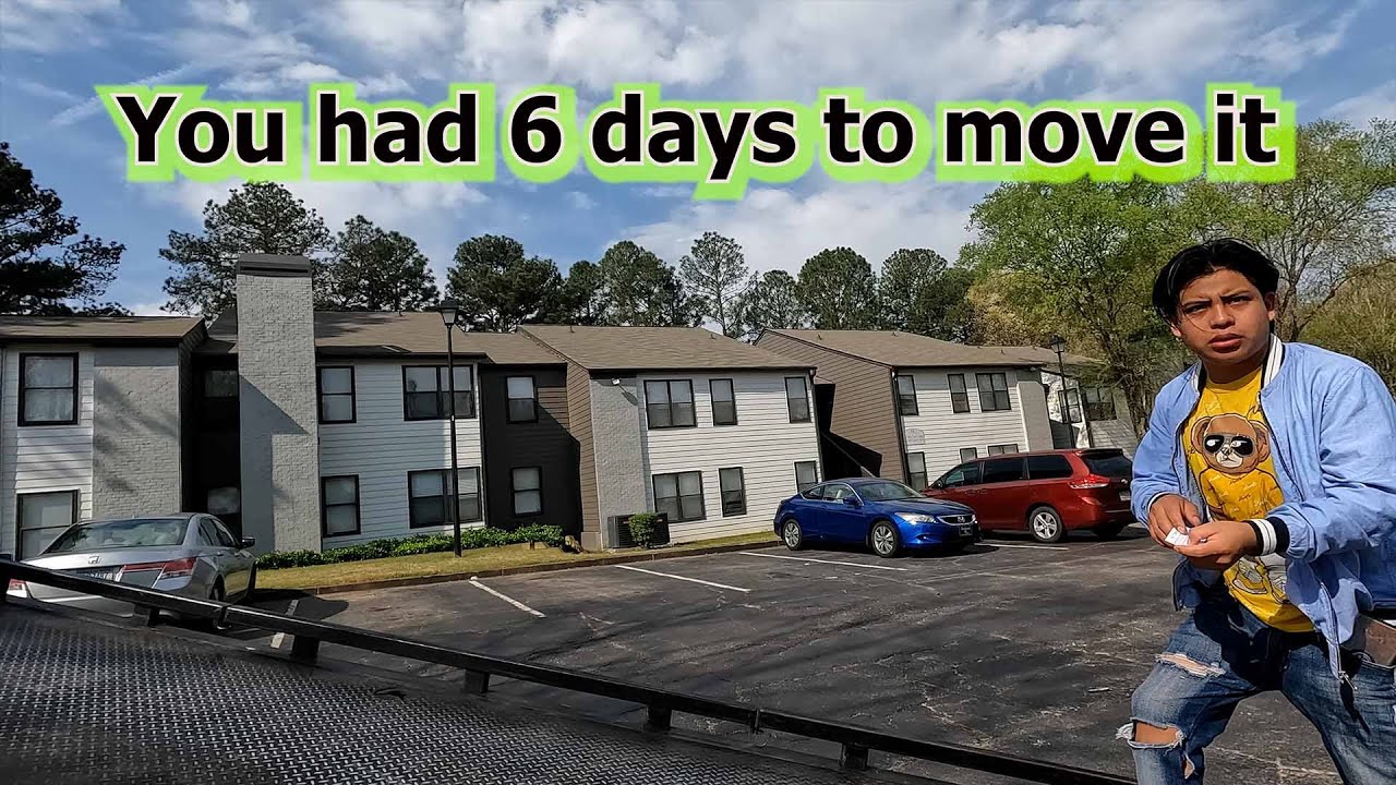 Parking Revenge: Hidden Cars Exposed!