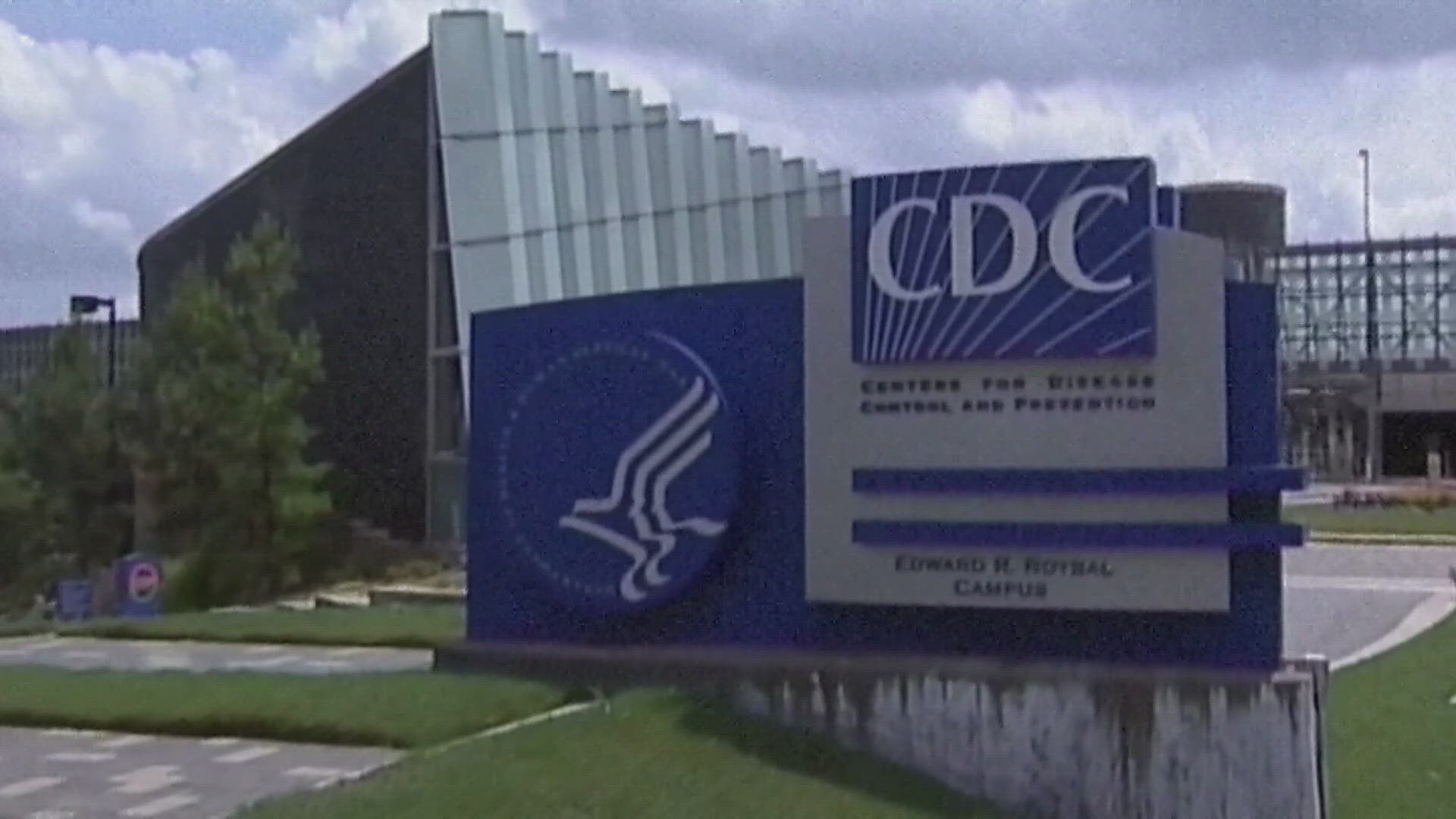 CDC calls for faster Bird Flu testing for humans