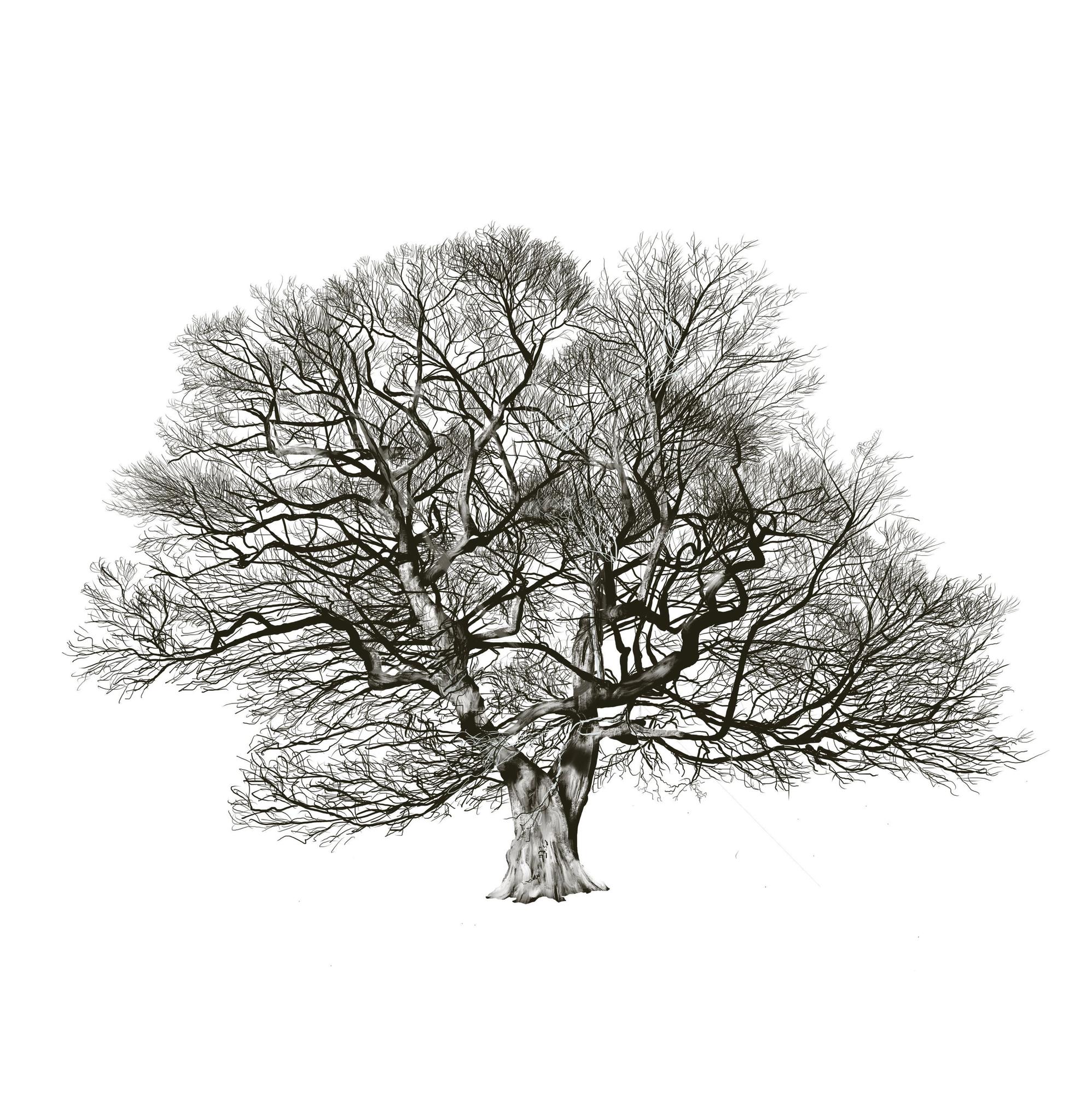 Yorkshire artist to exhibit at Yorkshire Sculpture Park for the first time