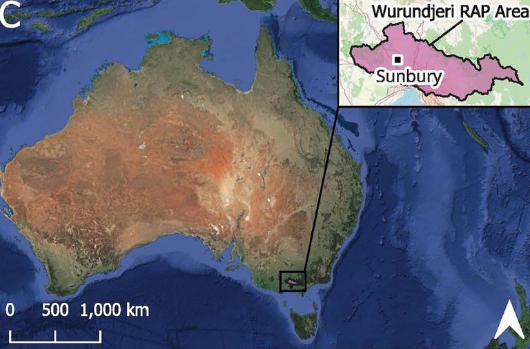 Origin of Australia’s 1,400-year-old mysterious earth rings finally ...