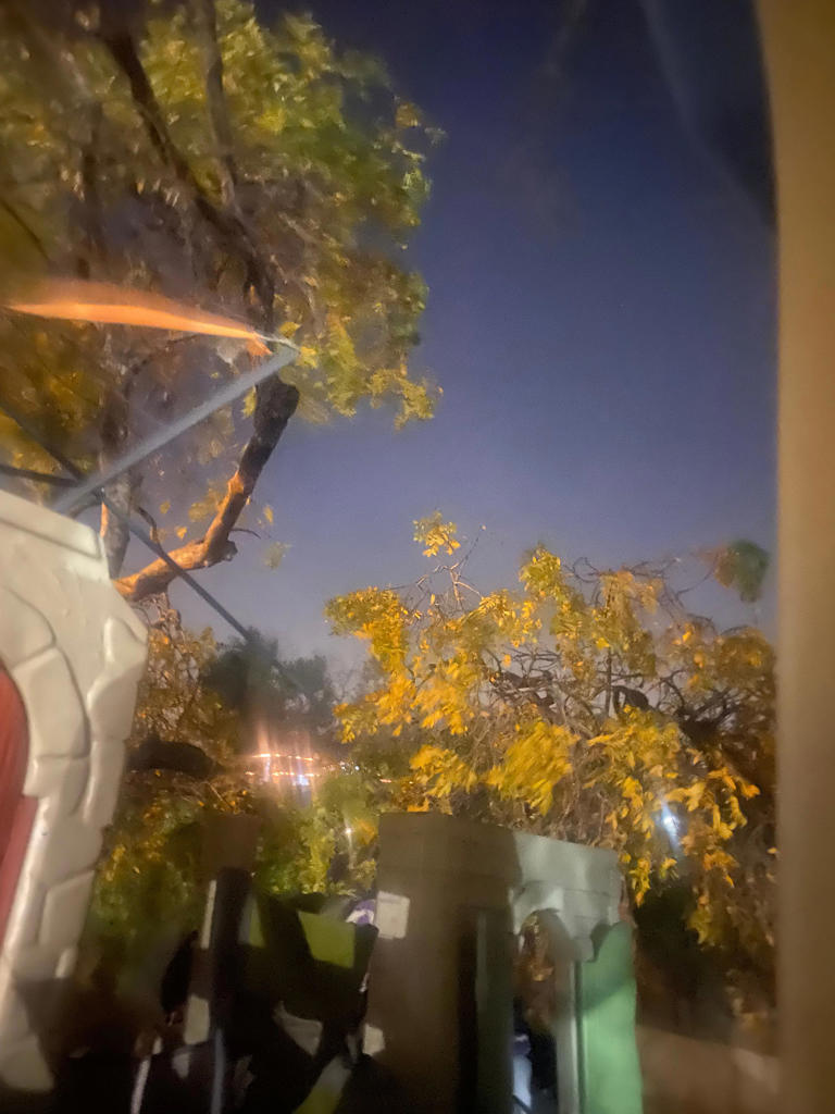 The homeless population is increasing. Will Trump's second term make it ...