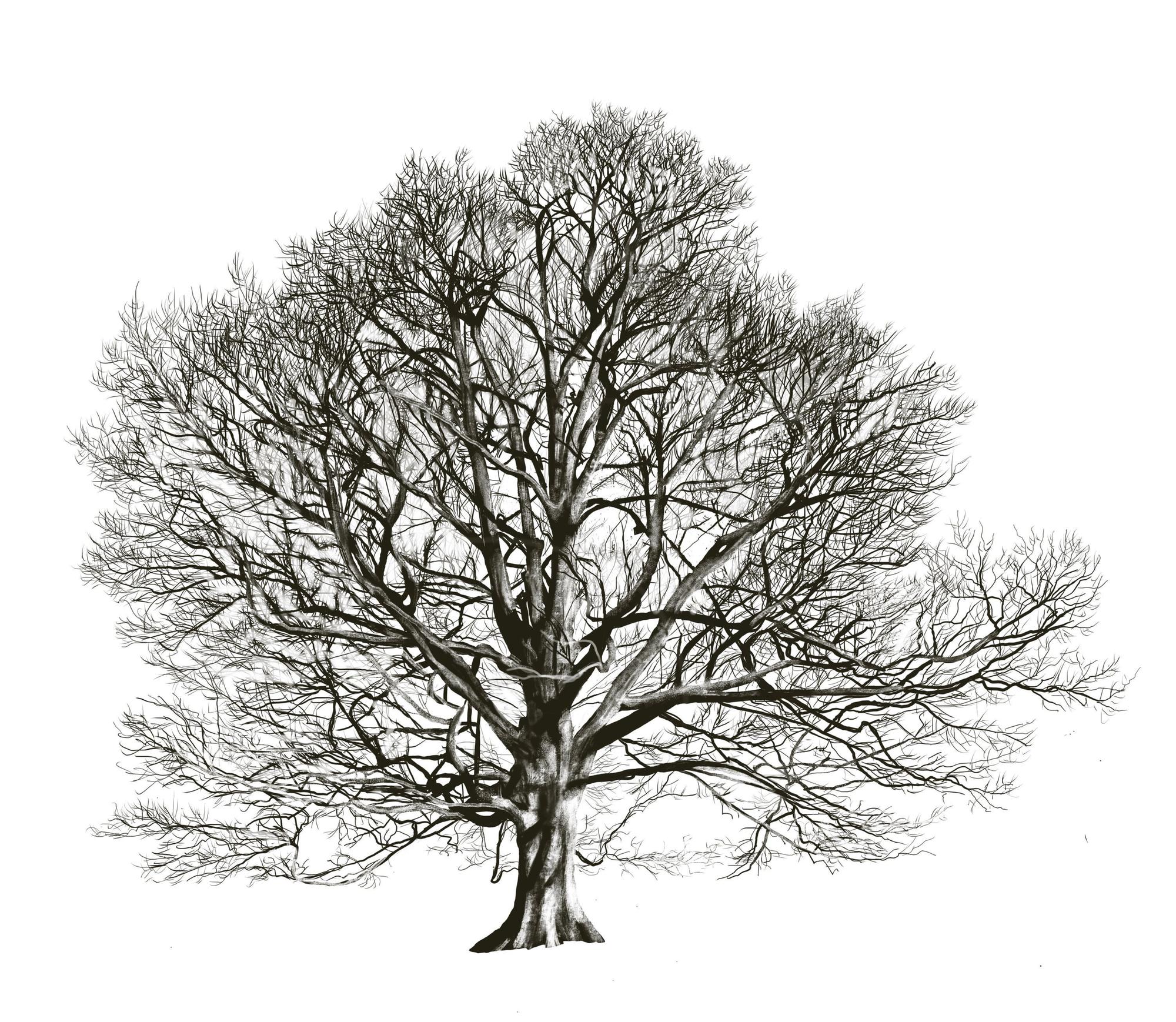 Wakefield artist to exhibit at Yorkshire Sculpture Park for first time