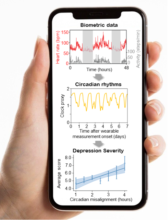 Predicting Depression with Wearable Technology