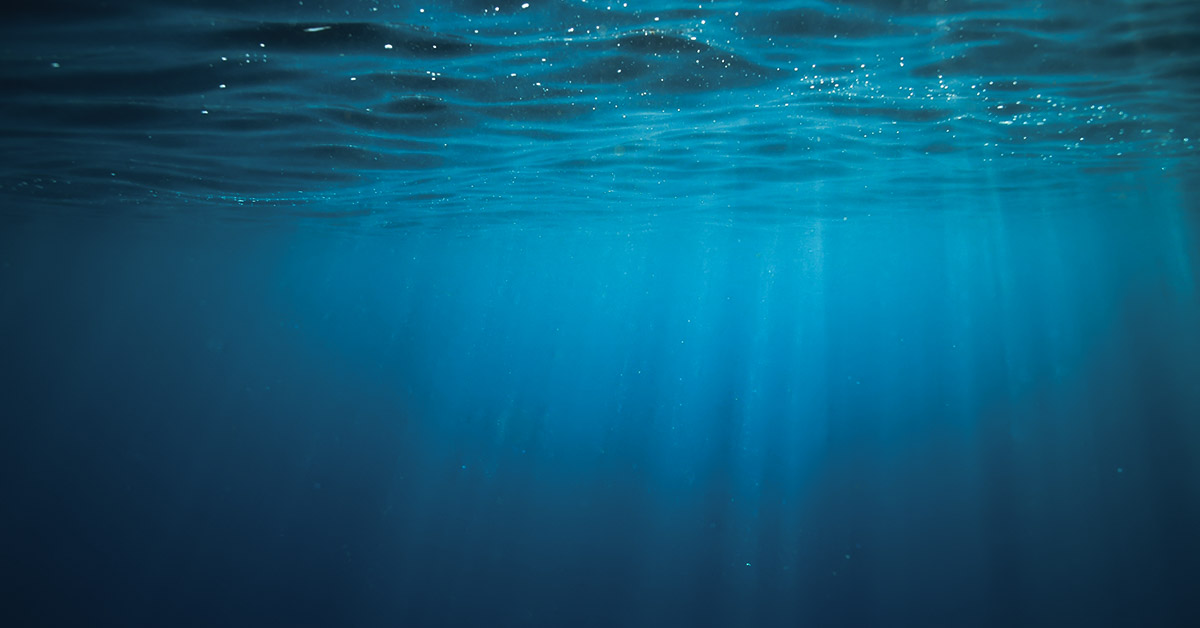 Mysterious and Uncharted Structures Discovered Beneath the Pacific Ocean