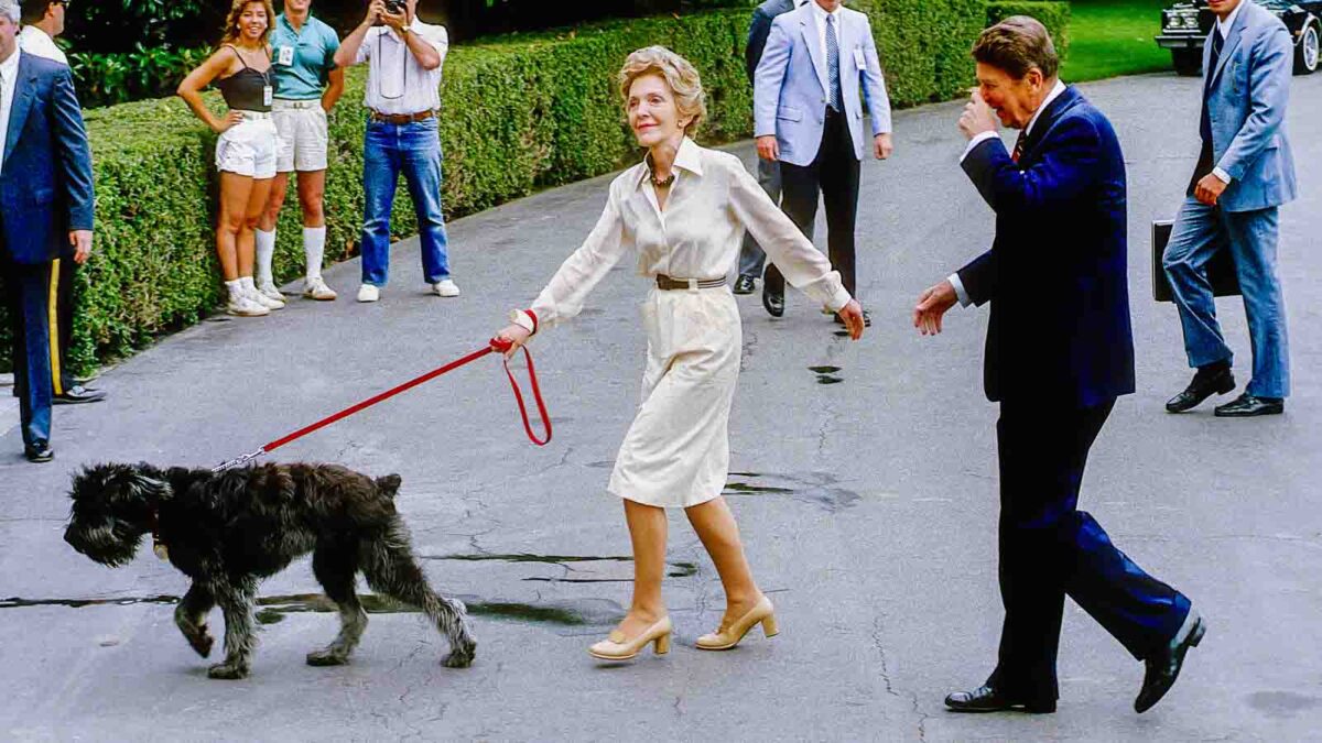 15 Famous First Dogs Who Walked The White House Lawn