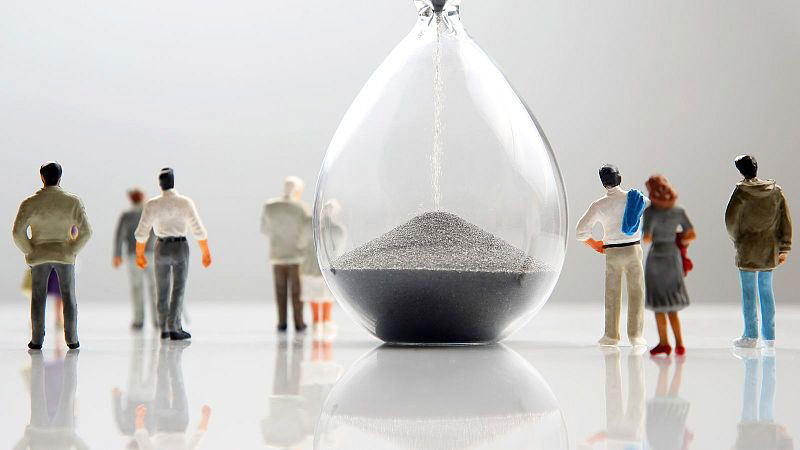 ¿El micelio de seta es la proteína sostenible del futuro que podría ... ¿El micelio de seta es la proteína sostenible del futuro que podría ...