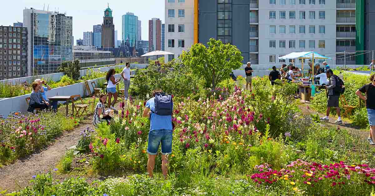 What are Blue Roofs, and Should You Get One For Your Home?