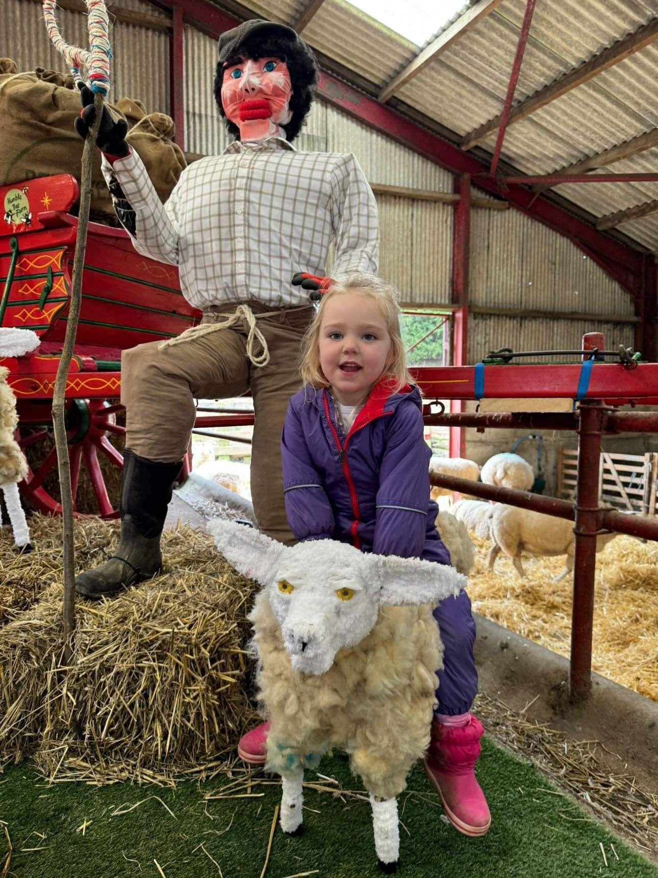 New lambing experiences at Humble Bee Farm 2025