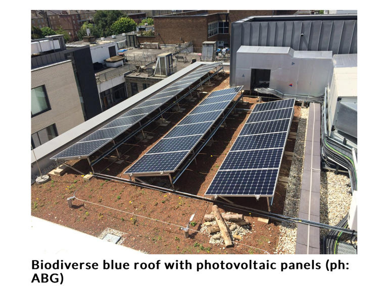 What are Blue Roofs, and Should You Get One For Your Home?