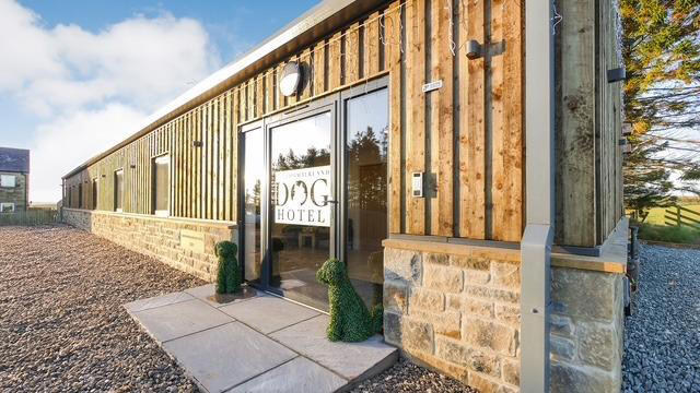 The Northumberland Dog Hotel: purpose-built pet hotel opens ...