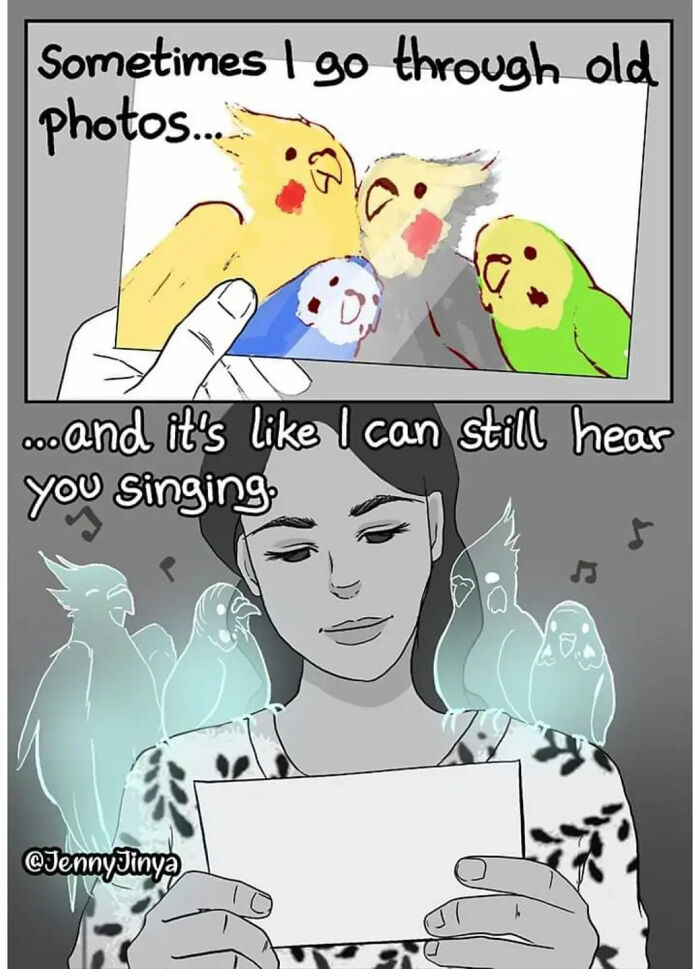 Artist Who Made People Cry With Her Grim Reaper Animal Comics Is Back ...