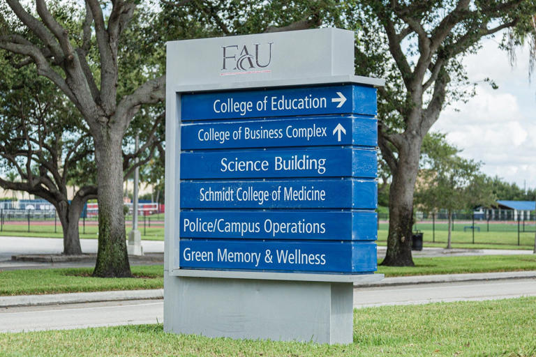 FAU names 3 finalists in search for a new president - 2 academics and a ...