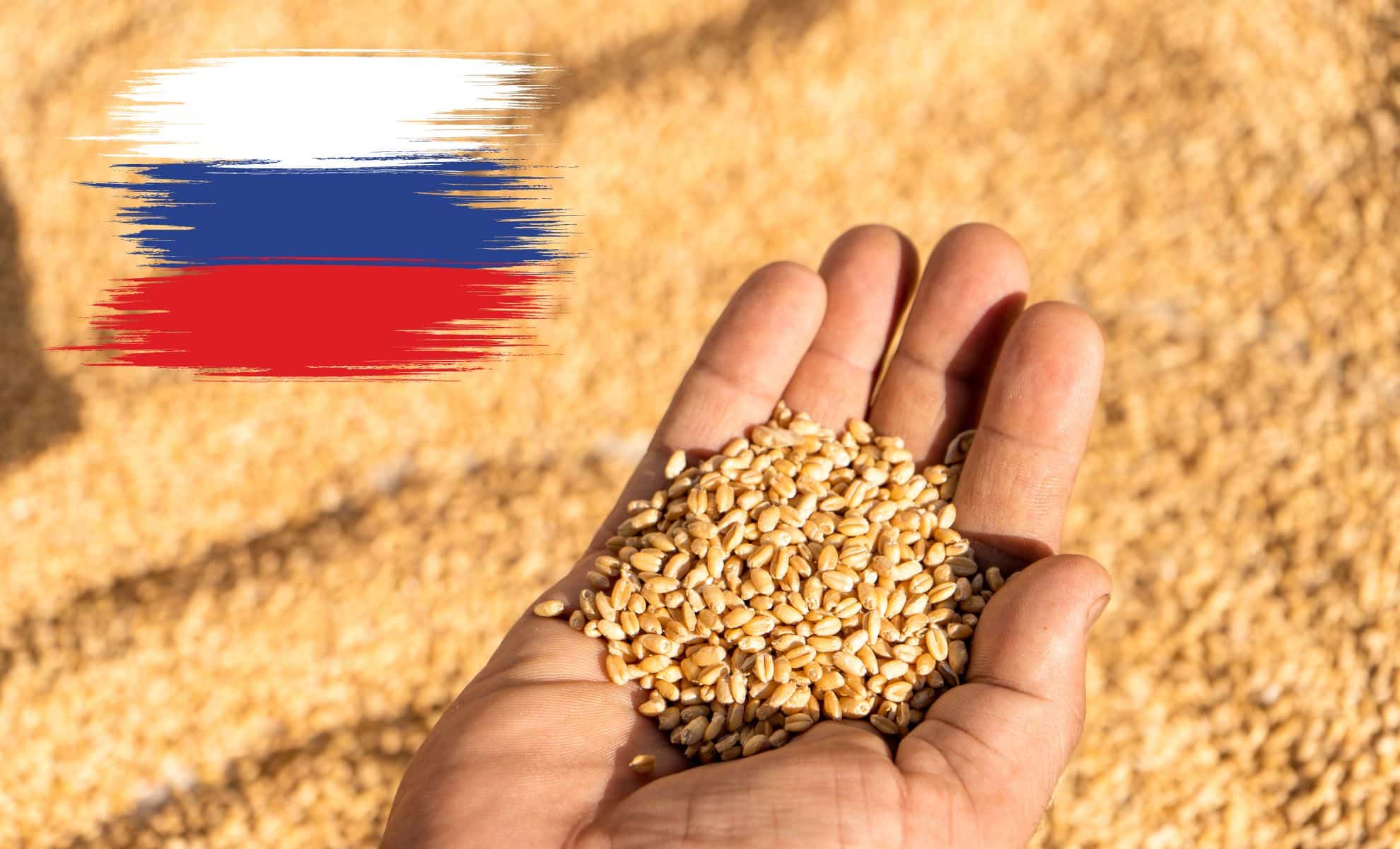 Blé : après l'Algérie, la Russie détrône la France au Maroc