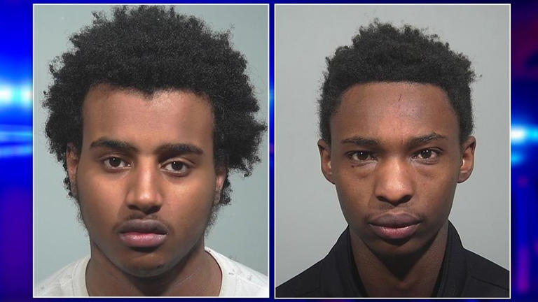 2 arrested after chase in stolen car ends in Casco crash 2 arrested after chase in stolen car ends in Casco crash