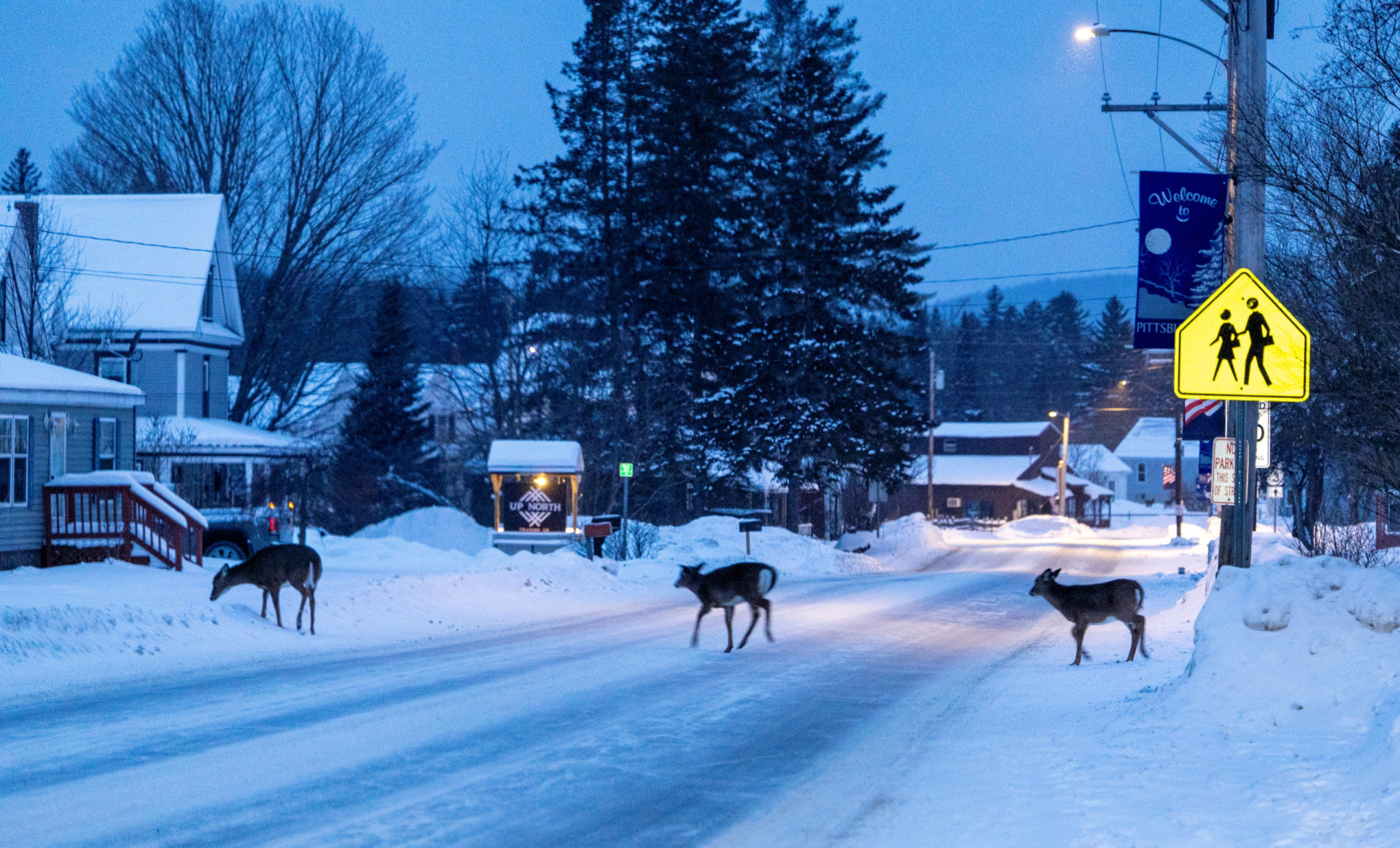 Keep America weird: unusual facts about each state