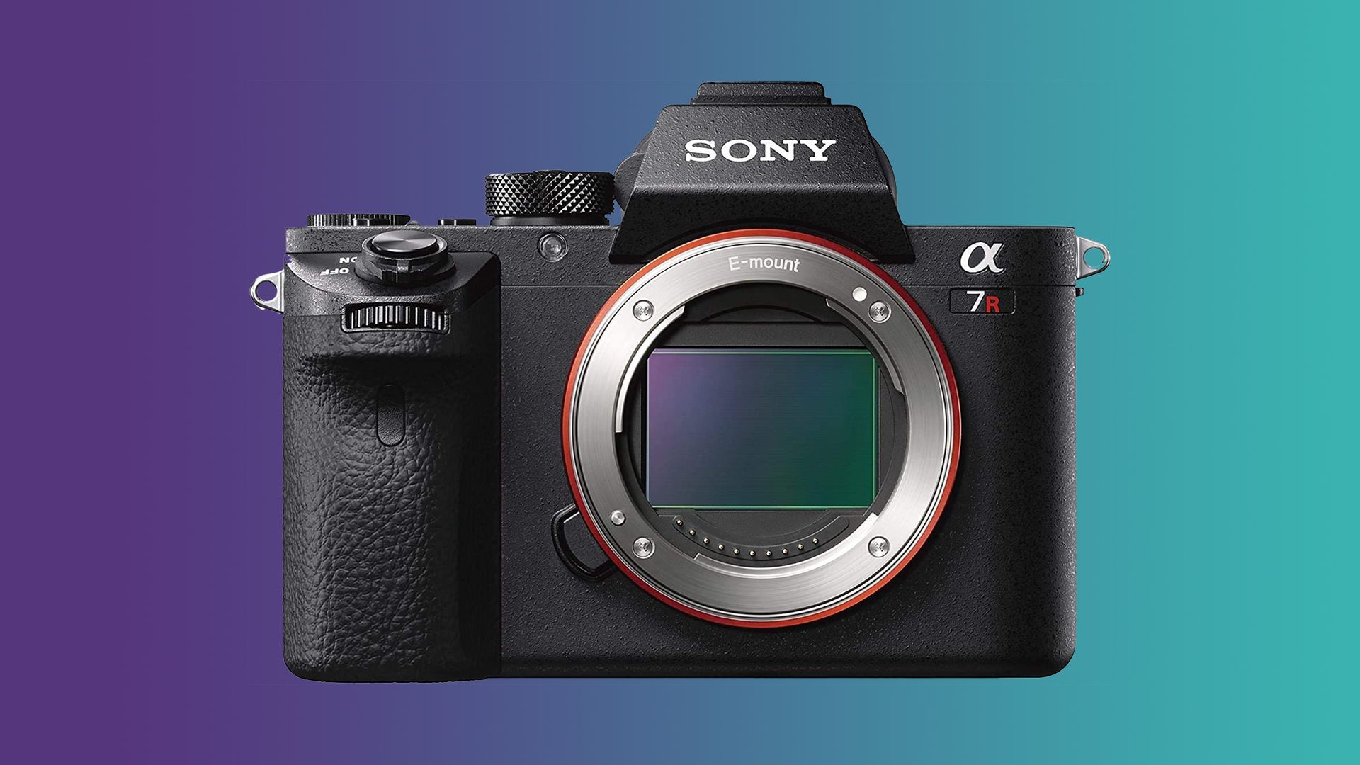 BCN Award 2025: Sony sells most mirrorless cameras, Canon most compacts ...